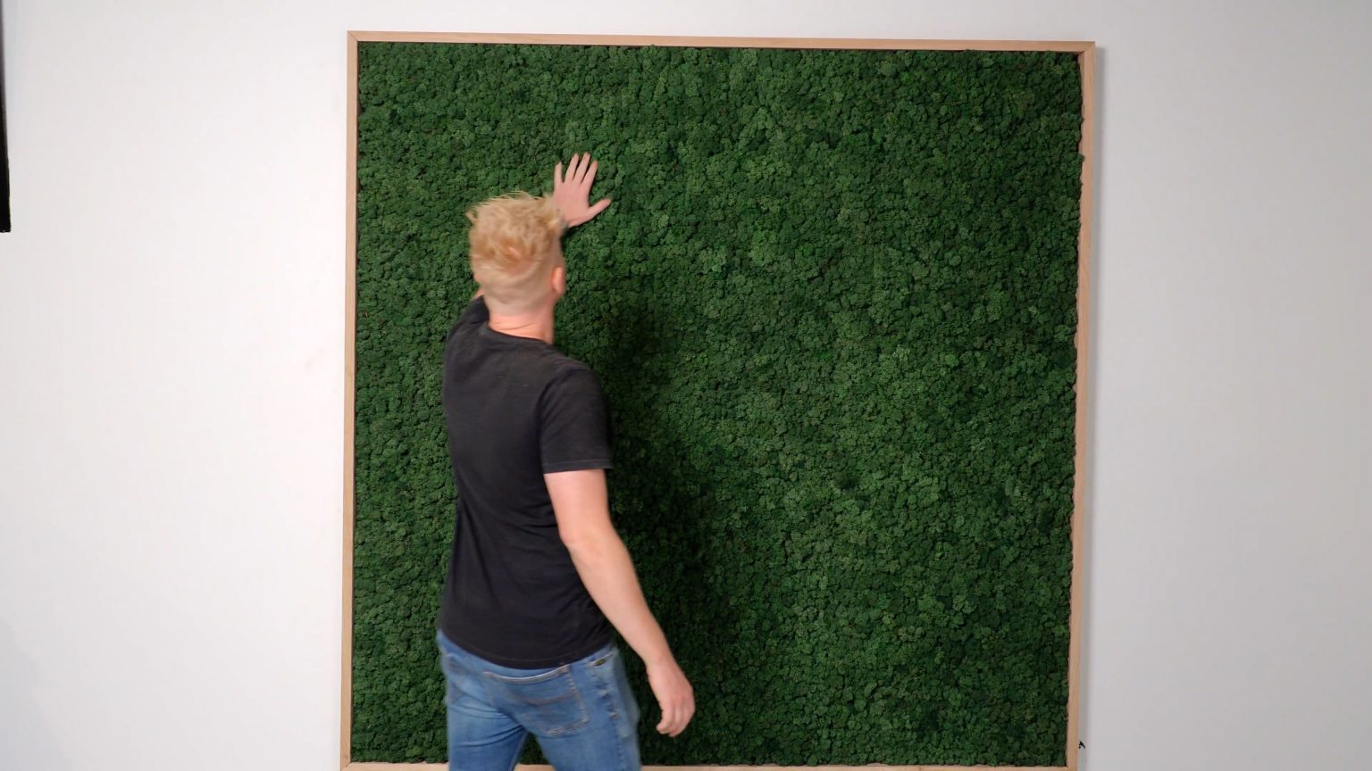 Installatie Instructies voor Mospanelen - WoodUpp